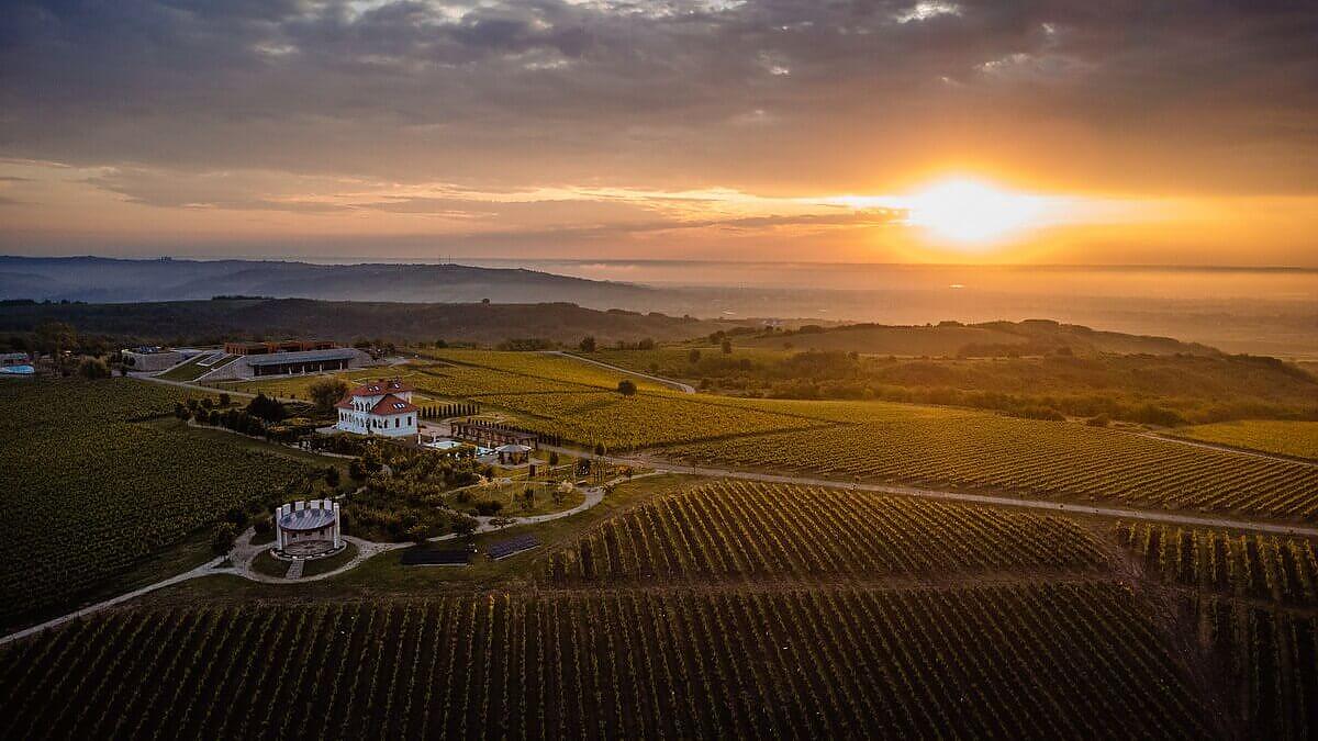 Crame și podgorii frumoase pe care să le vizitezi în România - Restograf.ro